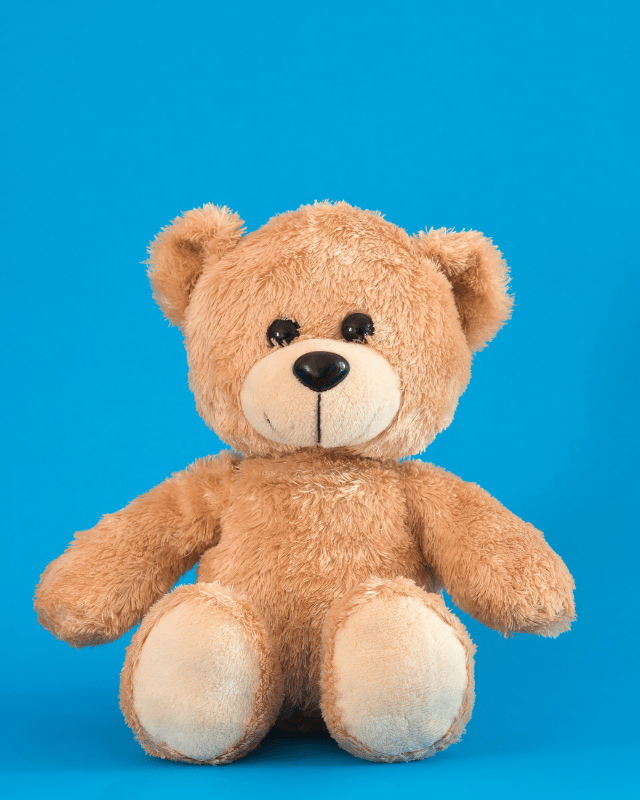 Promotional Teddy Bears | EverythingBranded Canada